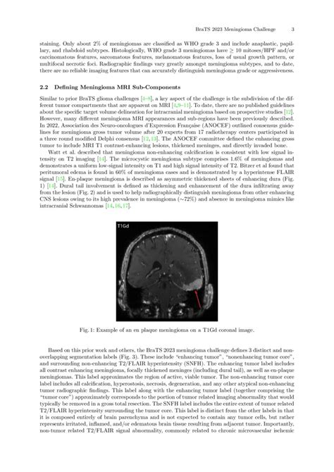 The ASNR MICCAI Brain Tumor Segmentation BraTS Challenge Intracranial Meningioma DeepAI