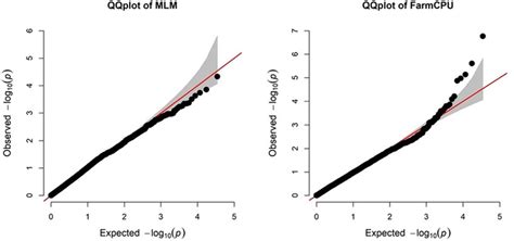 quantile quantile qq plot of the mixed linear model mlm and farmcpu