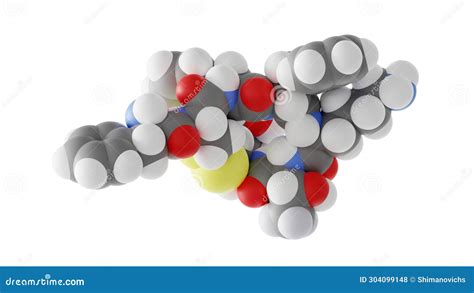 Octreotide Molecule Octapeptide Molecular Structure Isolated 3d Model Van Der Waals Stock