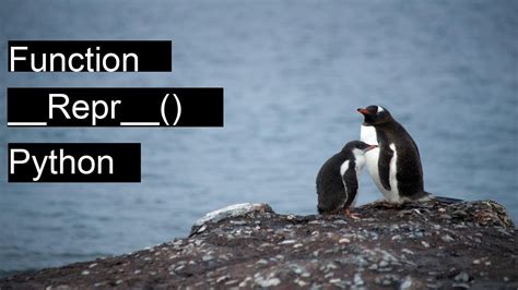 How To Use Function Repr In Python With Practical Example Youtube
