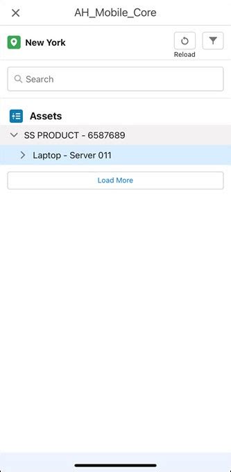 Viewing Technical Attributes From Asset Hierarchy