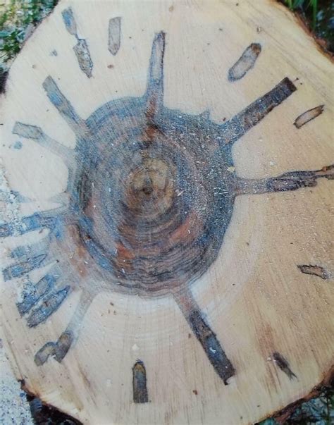 these cross section views are something you don t see every day