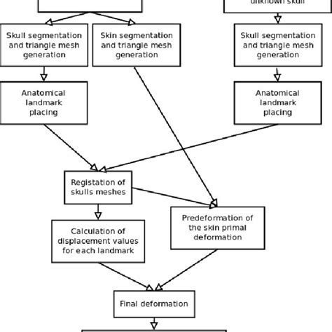 General Workflow Of The Reconstruction Procedure Download Scientific