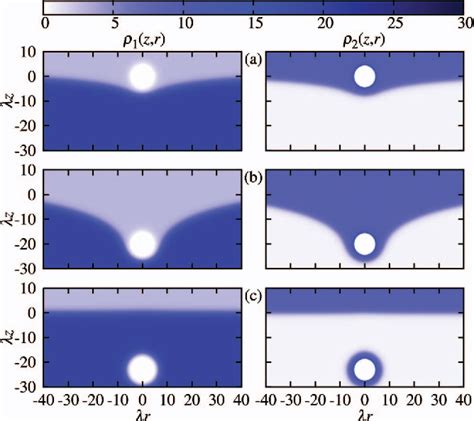 Figure 1 From Solvent Mediated Interactions Between Model Colloids And
