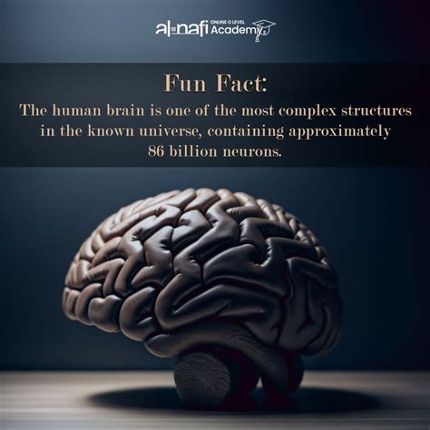 Al Nafi O Level Academy Posted On Linkedin