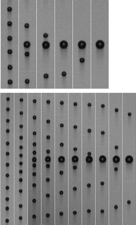 binary droplet collision just after maximum extension during the oblate
