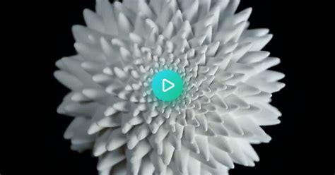 Fibonacci Zoetrope Sculptures Prepare For A Trip Album On Imgur