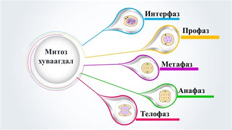 Мэдлээ Цахим контент