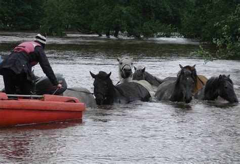 SEPAs Flood Messaging System To Be Extended To Include Multiple Hazard Warnings