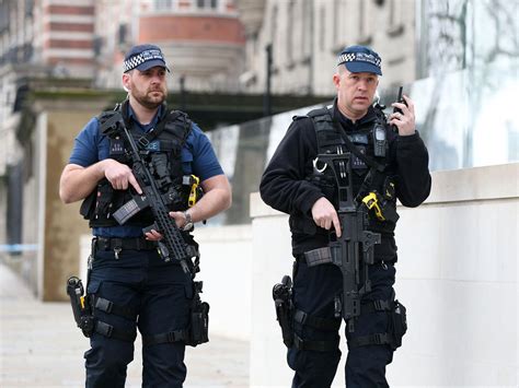 British Special Forces Police