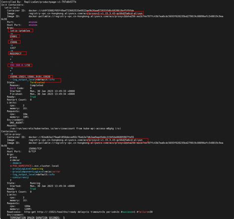 Analysis Of Alibaba Cloud Container Network Data Link 6 Asm Istio Alibaba Cloud Community