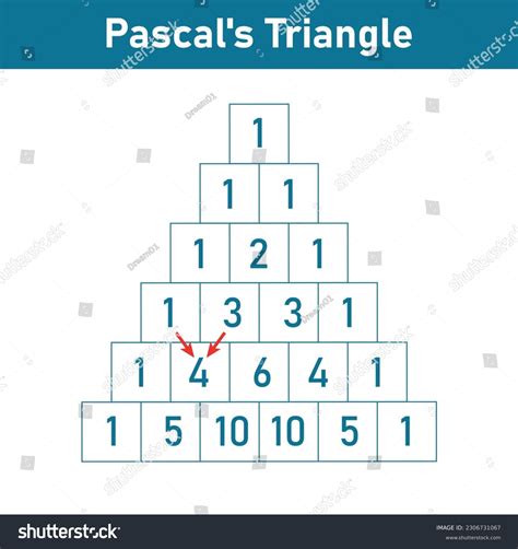 Pascals Triangle Diagram Mathematics Binomial Theorem Stock Vector