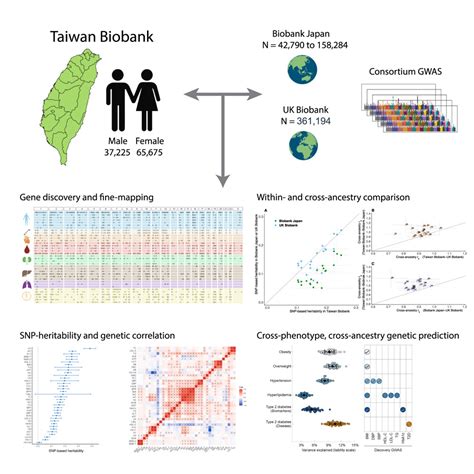 Decoding Complex Traits Genetics From Biobanks Feng Lab