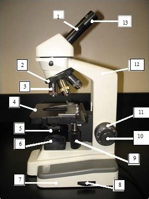 Microscope Lab Questions Diagram Quizlet