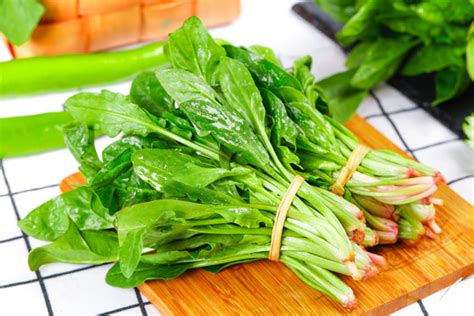 嫩菠菜 中国菜系 食品餐饮 摄影素材 汇图网www huitu