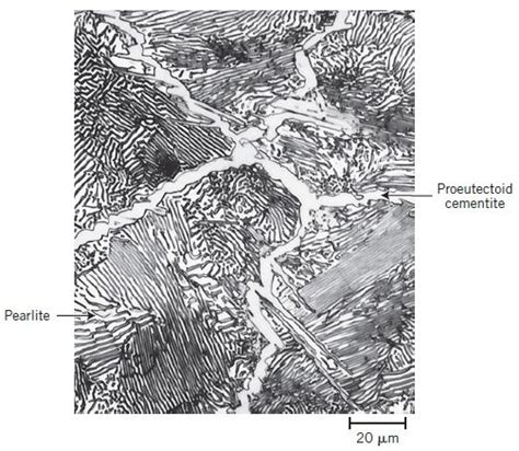 10 Photomicrograph Of A 1 4 Wt C Steel Having A Microstructure