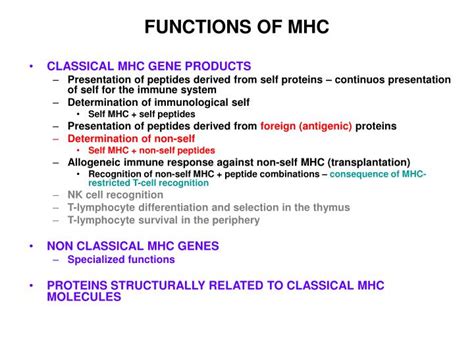 PPT FUNCTION OF MHC MOLECULES PowerPoint Presentation ID 3542084
