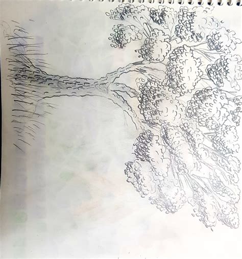 Trees Skillshare Babe Project Trees Skillshare Babe Project