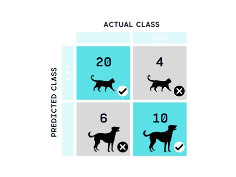 Performance Metrics For Classification In Machine Learning