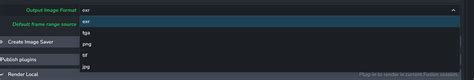 Creator Plugins Output Image Format General Ynput Community