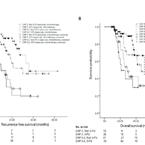 Survival Analysis By The Four Groups According To Pathologic Response Download Scientific