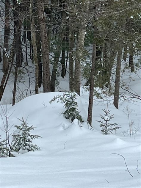 Inspiration Is Always Present By Sara Wright