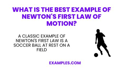 Examples Newtons First Law States Newton S Third Law Of Motion