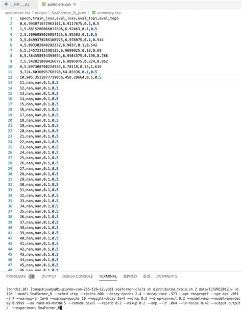 Loss Go Nan When Running Classification Model Of Seaformer B · Issue 2 · Fudan Zvg Seaformer