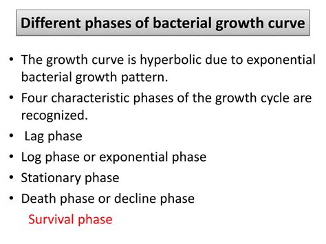 Bacterial Growth Curve Pdf