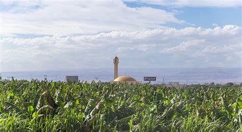 요르단암만의 수도 근처 작은 길가 마에서 미 나 렛과 모스크 강에 대한 스톡 사진 및 기타 이미지 강 거리 경관 Istock