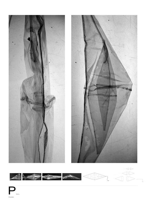 Lust For Ruins Adaptive And Responsive Architecture I D