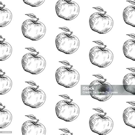 애플 배경 흰색 배경에 손으로 그린 검은 사과의 원활한 패턴 스케치 스타일 벡터 배경입니다 건강한 식생활에 대한 스톡 벡터 아트 및 기타 이미지 Istock