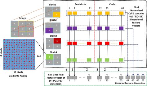 Feature Extraction Using Hogv Descriptor Download Scientific Diagram