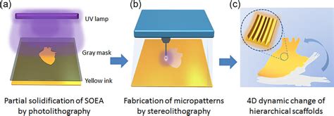 Schematic Illustration Of The Download Scientific Diagram