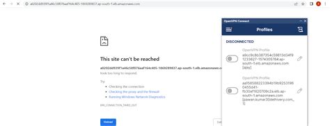 How To Setup A VPN To Access Devtron Devtron
