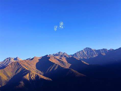 一叶知秋 将晚秋 站酷ZCOOL