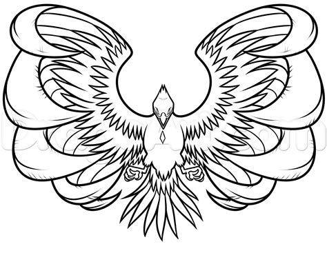 Phoenix Bird Drawings Phoenix Drawing