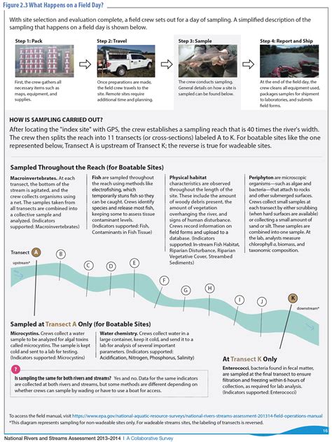 What Happens On A Field Day Explanatory Graphic