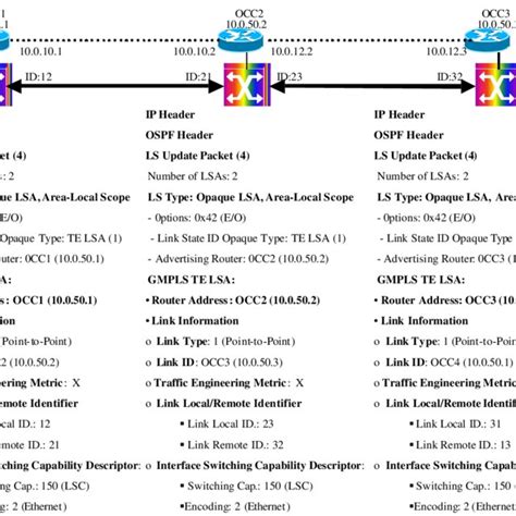 O LSAs Flooding Example Download Scientific Diagram