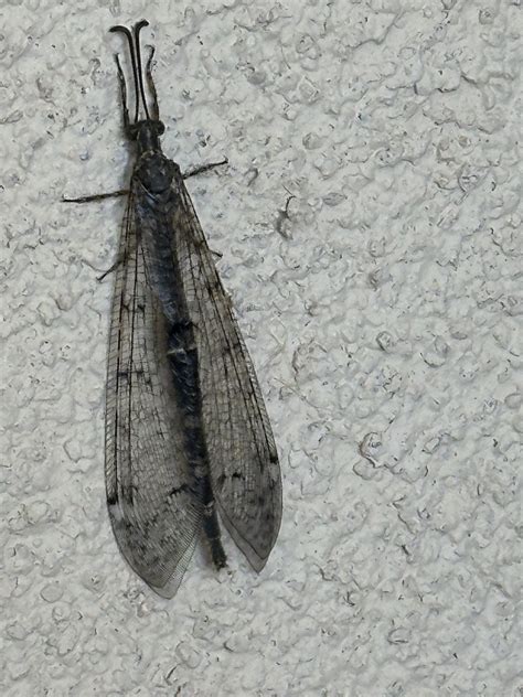 Max Blanchard Posted On Linkedin