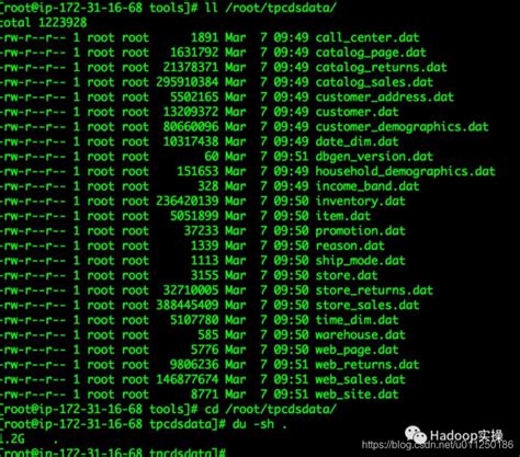 如何编译及使用tpc Ds生成测试数据hive执行tpc Ds 99条 Csdn博客