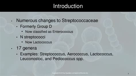 Solution Module 6 Streptococcus Enterococcus And Other Catalase