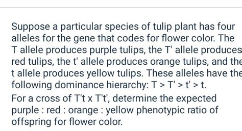 Solved Suppose A Particular Species Of Tulip Plant Has Four Chegg Com