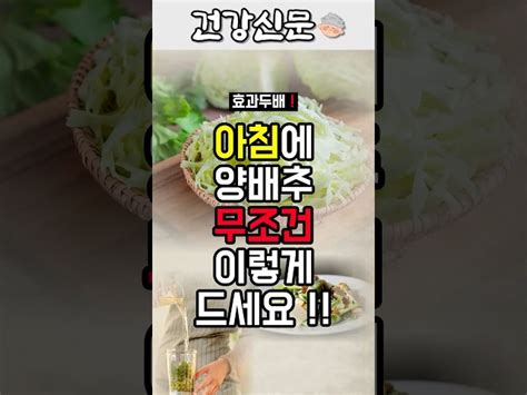 아침에 양배추 무조건 이렇게 드세요 건강 건강관리 건강정보
