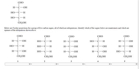 Solved Cho H C Oh Ho C H Ho Ch Ch Oh Below Are Fischer Chegg Com
