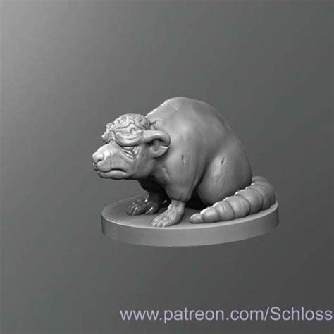 Download Free 3d Model Cranium Rat ・ Cults