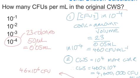 Microbiology Serial Dilution Calculation Youtube
