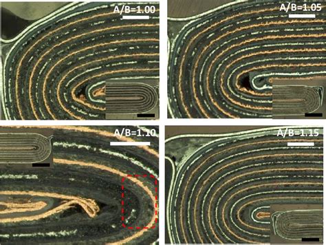 Cross Section Views Of The Asymmetric Pouch Cells The White Scale Bar
