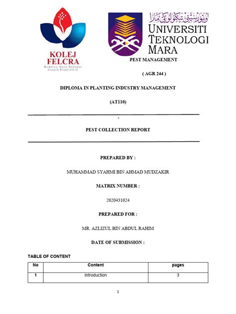 Pest Collection Report Pdf Insects Beetle