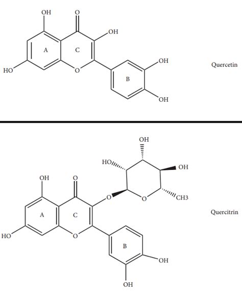 Is Quercetin And Quercitrin The Same Chemicalbook